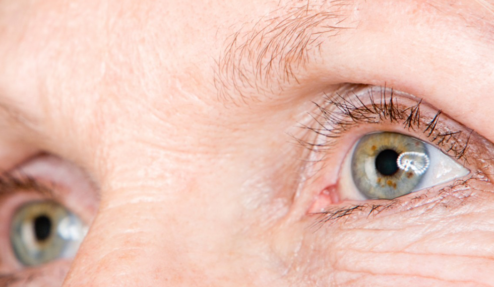 TREHALOSA Y SUS BONDADES PARA LA ENFERMEDAD DE SUPERFICIE OCULAR ...